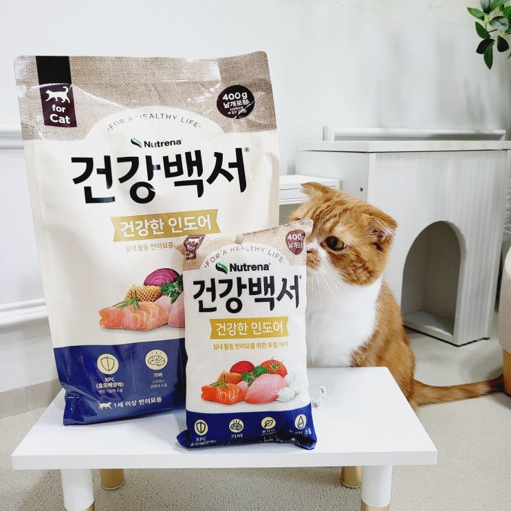 고양이 사료 추천 헤어볼 개선 건강백서 인도어 네이버 블로그