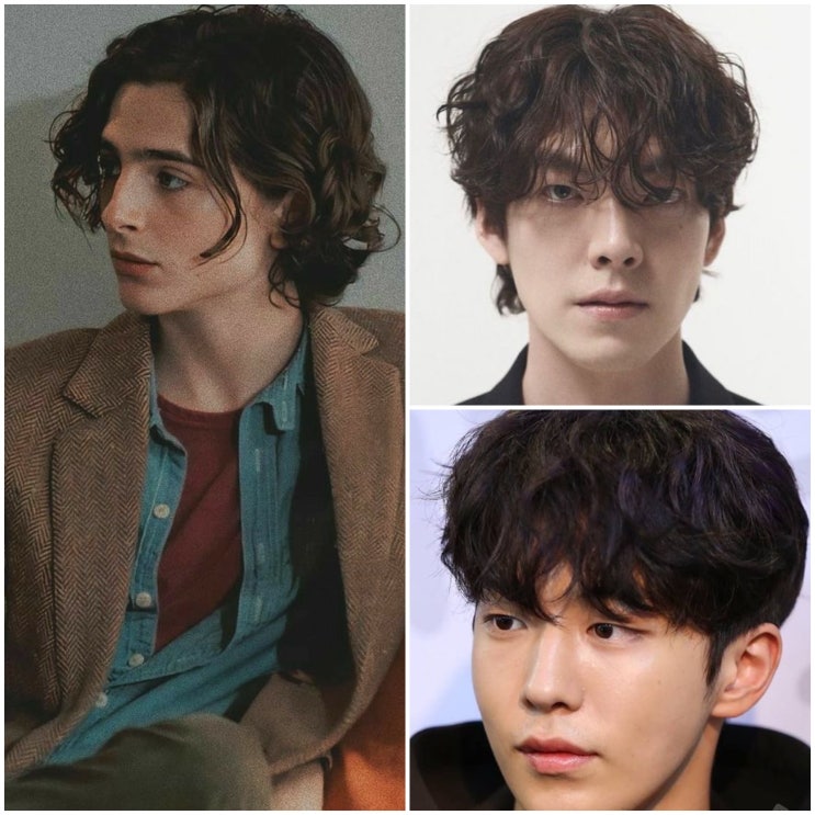 남자 너드펌 길이 별 스타일 정보 헤어 트렌드 너드히피펌 추천 네이버 블로그