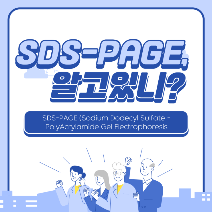 (A부터 Z까지) SDS PAGE 편 : 네이버 블로그