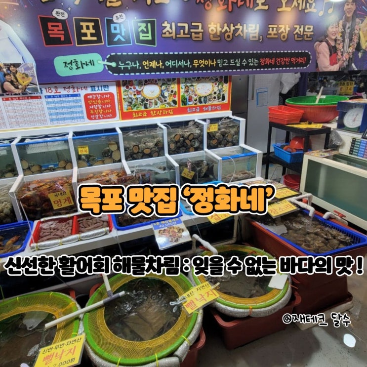목포 맛집 정화네에서 즐긴 신선한 활어회 해물차림 잊을 수 없는 바다의 맛 네이버 블로그