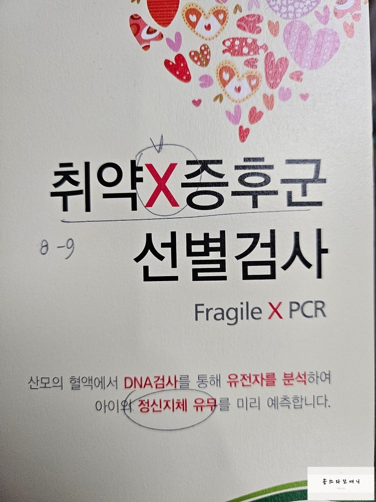 임신기록 블로그에 남겨보는 기록 13주 16주차♡2차 기형아검사 취약 X증후군 성별 확인 With 세인트마리 산부인과