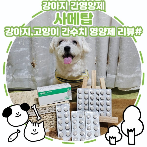 강아지 간영양제 사메탑강아지고양이 간수치 영양제 리뷰 네이버 블로그