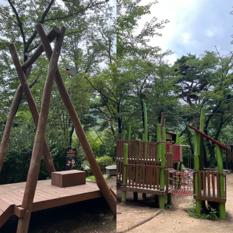 창원 애견동반 여행 창원 편백치유의숲 진해 장복산 조각공원 드라이브 코스 네이버 블로그