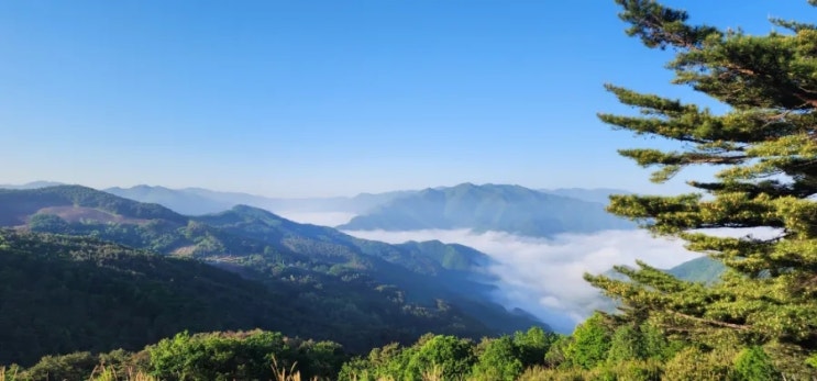 20240513 영월쉼오지캠프 : 네이버 블로그