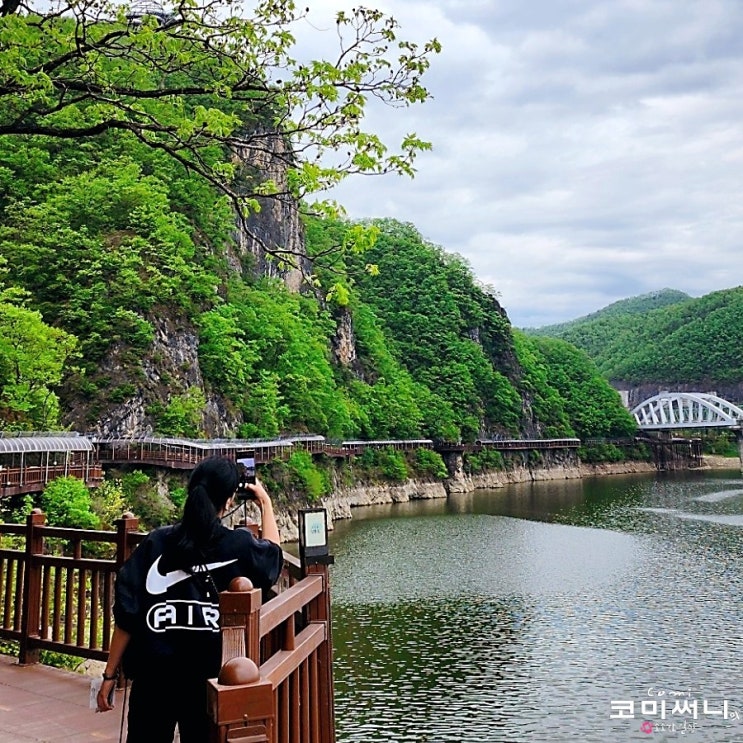 충북 단양 추천 명소 단양강 잔도길 남한강 감상하며 암벽 따라 걷는 힐링 트레킹 코스 네이버 블로그