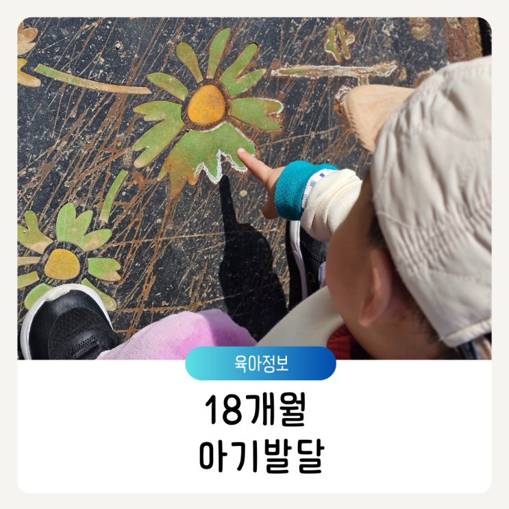 18개월 아기 발달 18개월 단어 인지 발달 대근육 소근육 발달 네이버 블로그