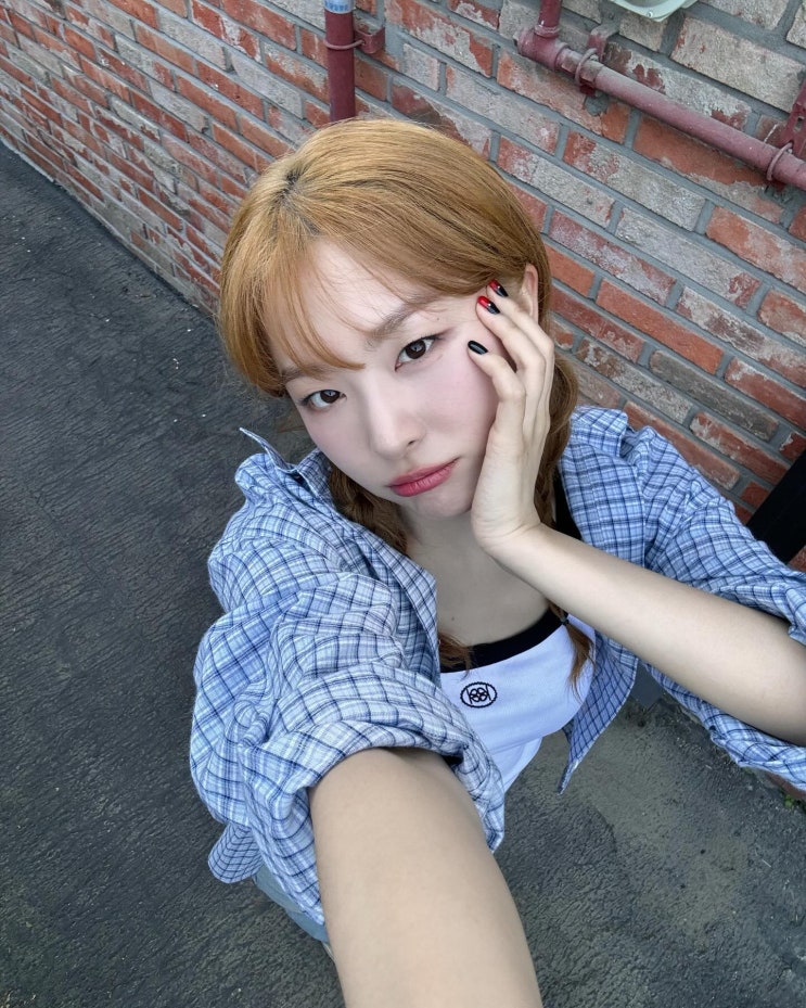 레드벨벳 슬기 유튜브 인스타그램 옷 패션 르누이 블루 체크 셔츠 네이버 블로그