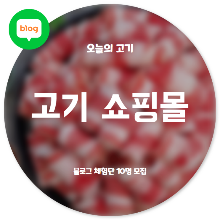 오늘의 배송 캠핑을 좋아하는 그대를 위한 맛있는 오늘의 고기 쇼핑몰 리뷰어 모집 네이버 블로그