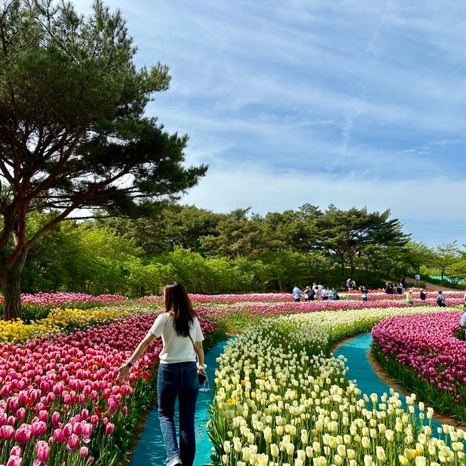 [태안 안면도] 보헤미아 빌리지 : HMG 드라이빙 근처 욕조있는 복층 숙소 (Inc. 세계튤립꽃박람회 & HMG 드라이빙 후기 ...