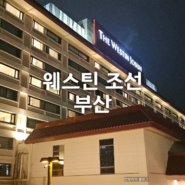 웨스틴 조선 호텔 부산 뷔페 디너 까밀리아 가격 주말 창가 예약 네이버 블로그