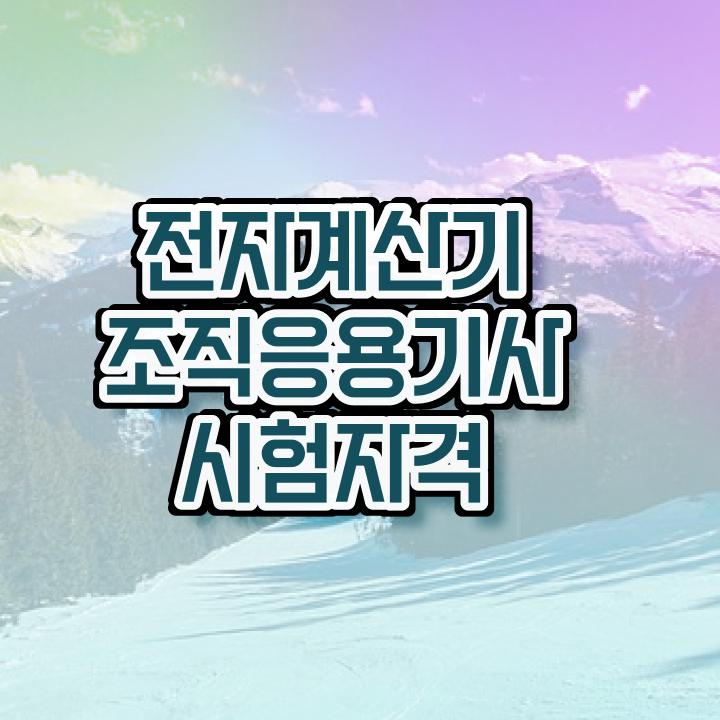 전자계산기조직응용기사 필기시험일정 전자계산기조직응용기사 응시조건 독학으로 5달만에 준비한 팁 네이버 블로그