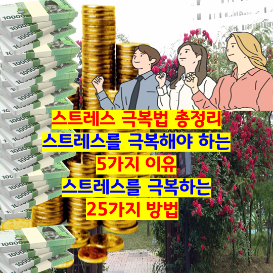 스트레스 극복법 총정리 스트레스를 극복해야 하는 5가지 이유 및 스트레스를 극복하는 25가지 방법 네이버 블로그