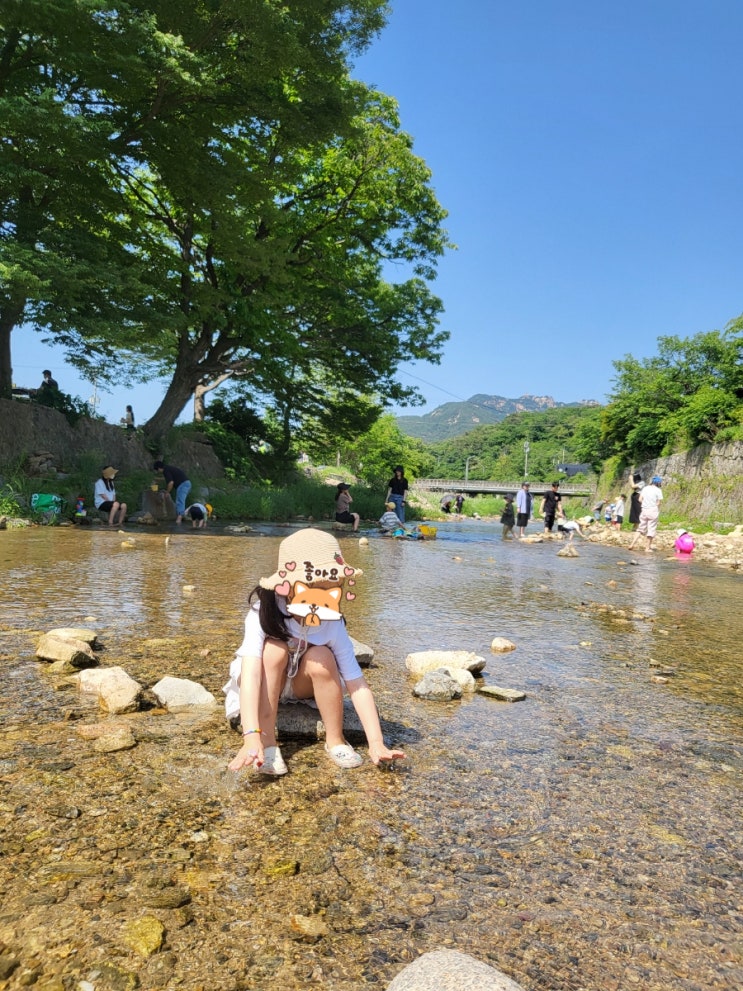 서울 근교 계곡 브런치 카페 🍽️ 여름나기 본격 준비 포시즌어데이 북한산 계곡 카페 총정리 주차팁 물고기 잡기 할인