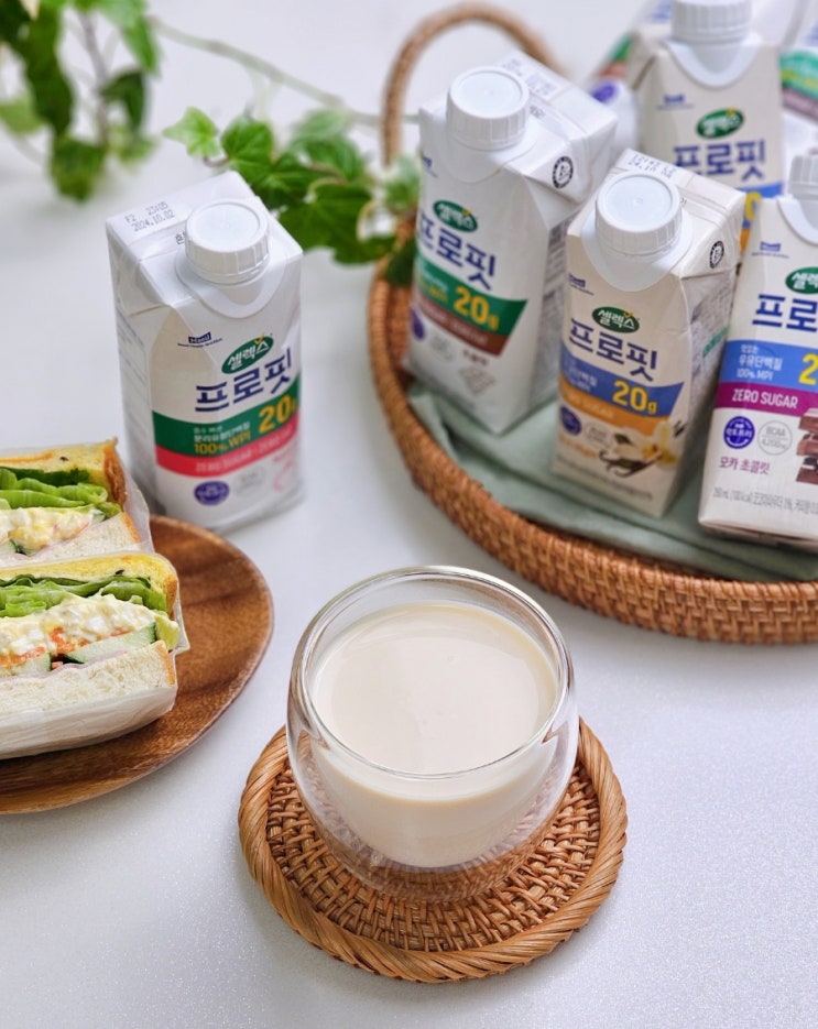영양간식 간편 아침식사로 좋은 프로틴 단백질 음료 셀렉스 프로핏 네이버 블로그