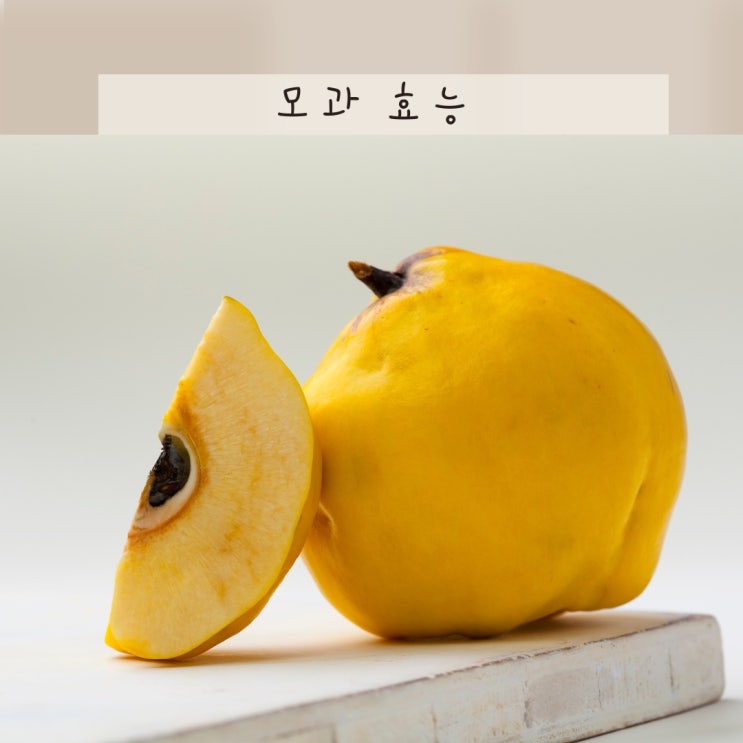 모과효능 모과차 모과청 효능 및 좋은 음식궁합 알아보자 네이버 블로그