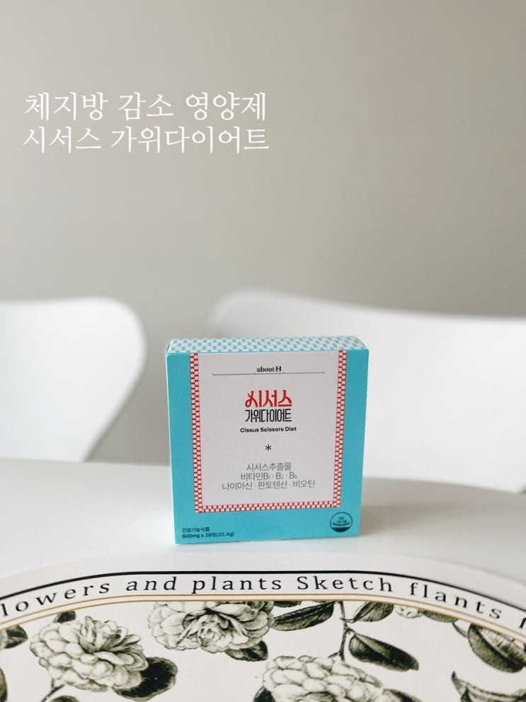체지방 감소 영양제 추천 어바웃에이치 시서스 가위 다이어트 후기 네이버 블로그