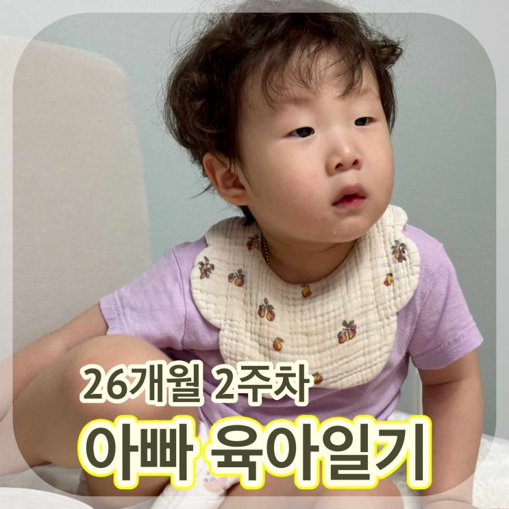 26개월 2주차 아빠 육아일기 야외활동하기 좋은 날씨 네이버 블로그