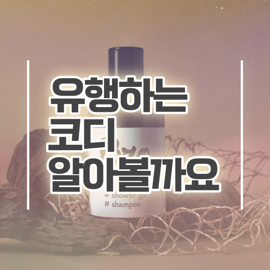 강남퍼스널컬러 퍼스널컬러컨설턴트자격증 동영상으로 취득했던 후기 네이버 블로그