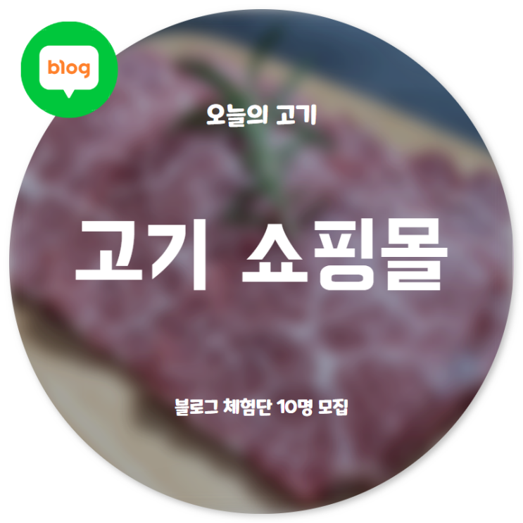 오늘의 배송 맛있는 요리를 만들어 먹을 수 있는 다양한 오늘의 고기 쇼핑몰 리뷰어 모집 네이버 블로그