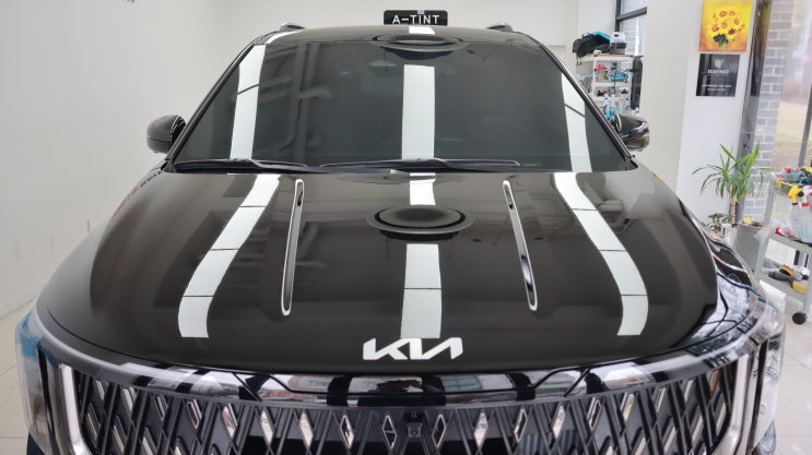 카니발 KA4 페이스리프트엔 성능 좋은 레이노 F95가 답입니다. : 네이버 블로그