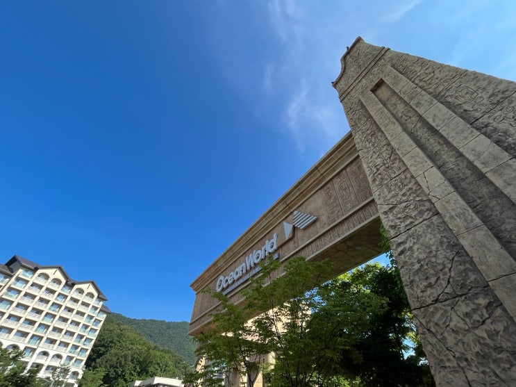 비발디파크 오션월드 입장권 할인 셔틀 주차 운영시간 네이버 블로그