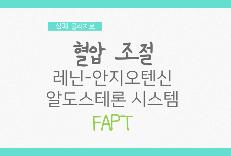 심박출량co 혈압 조절 그리고 레닌 안지오텐신 알도스테론 시스템 심폐 물리치료 네이버 블로그
