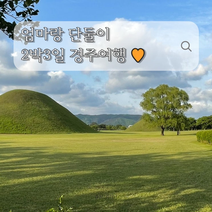 2박3일 엄마랑 뚜벅이 경주여행 코스 완벽 정리 1일차 불국사 석굴암 가는 법 황리단길 쫀드기 네이버 블로그