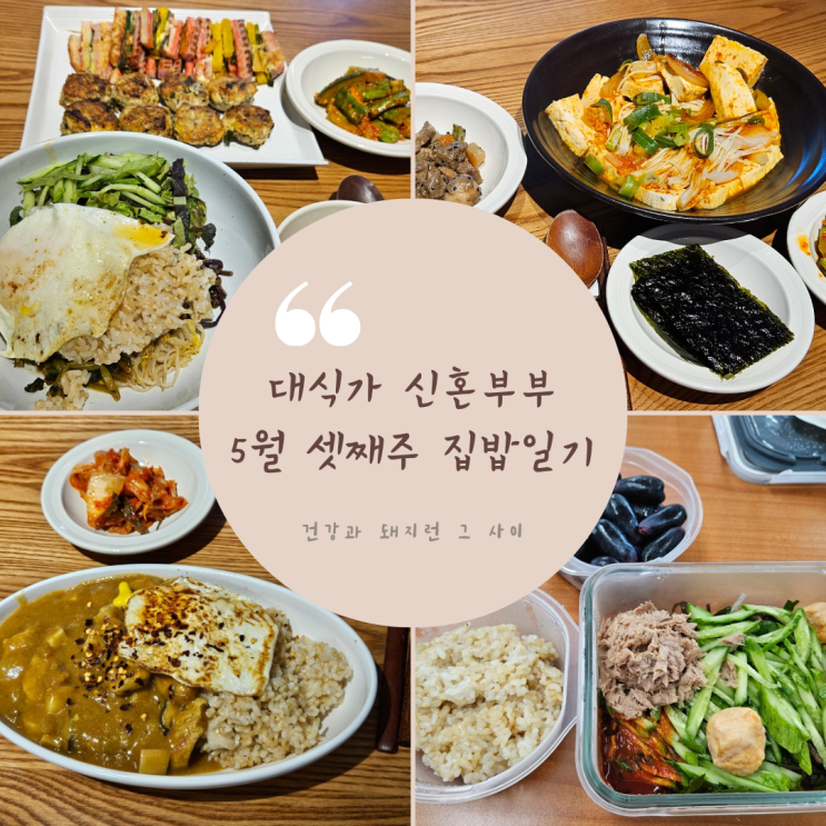 대식가 신혼부부 5월 셋째주 집밥일기 한식처돌이의 집밥일상비빔밥된장찌개두부조림직장인도시락치즈오븐스파게티 네이버 블로그