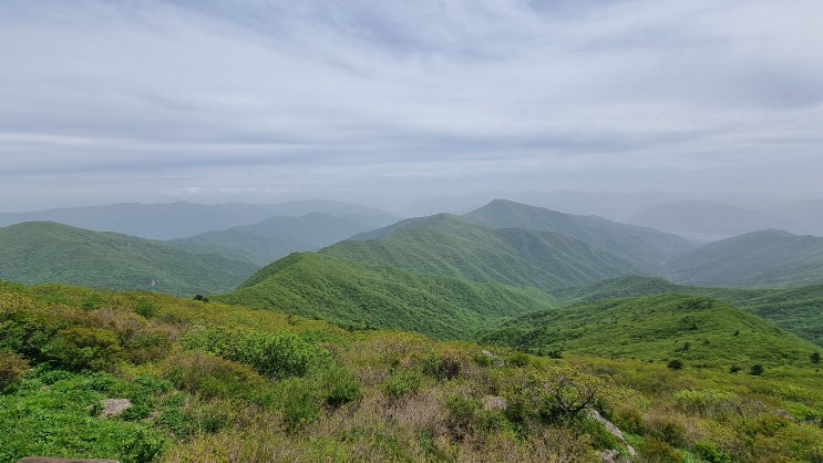 지리산 노고단 주차장 위치 및 주차 요금 그리고 정상 국립공원 예약 방법 : 네이버 블로그