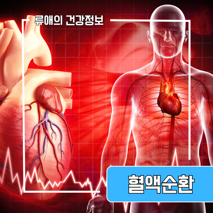 하체 발 종아리 다리 혈액순환안될때증상 혈액순환에좋은음식 네이버 블로그