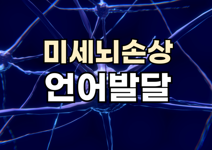 대구 언어치료 아동발달센터 미세 뇌손상과 실어증의 언어발달 네이버 블로그