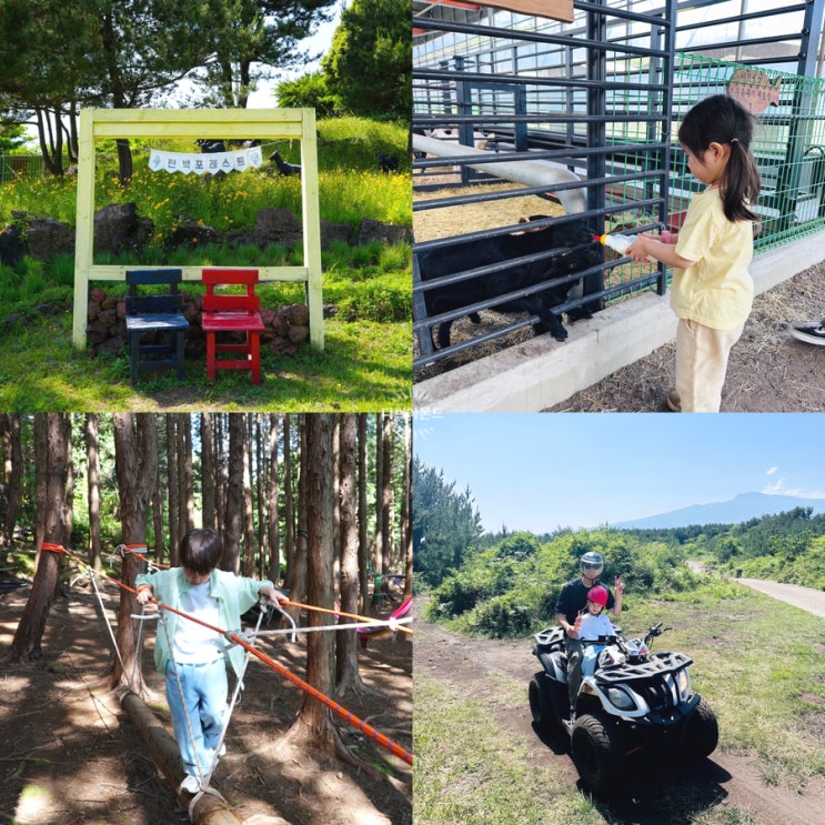 제주 남원 가볼만한곳 편백포레스트 제주도 Atv 서귀포 아이랑 갈만한곳 네이버 블로그