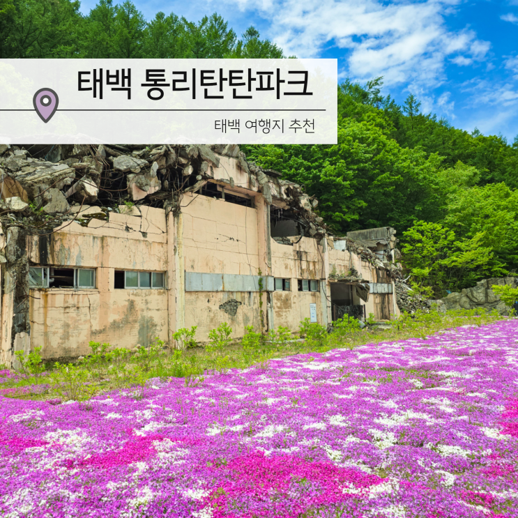강원도 태백 여행 통리탄탄파크 볼거리 태양의 후예 촬영지 네이버 블로그