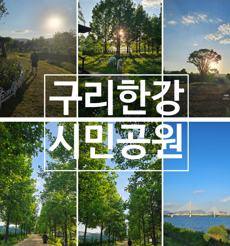 구리한강시민공원 주차 반려견 편의점 돗자리 텐트 가는법 피크닉 캠핑존 네이버 블로그