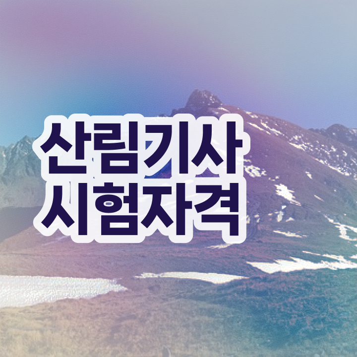 산림 기사교재 산림기사 응시자격 온라인 수업으로 단기간에 끝낸 비법 네이버 블로그