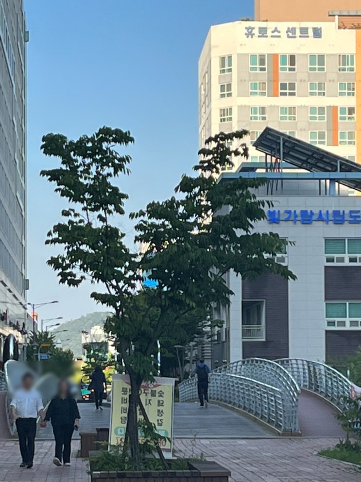 비전공자 직장인의 회계관리 2급 도전(2)_하기 싫다. : 네이버 블로그