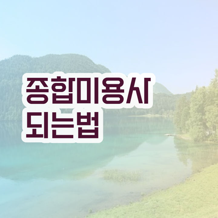 피부과 피부관리사 피부관리사자격증 창업 시작할 때 취득해야 하는 조건들은 인강으로 미용사종합자격증 간편하게 네이버 블로그