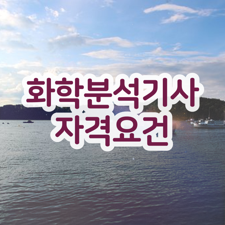 화학분석기사 책 화학분석기사 시험응시조건 집에서 온라인으로 15주만에 완료한 전략 네이버 블로그