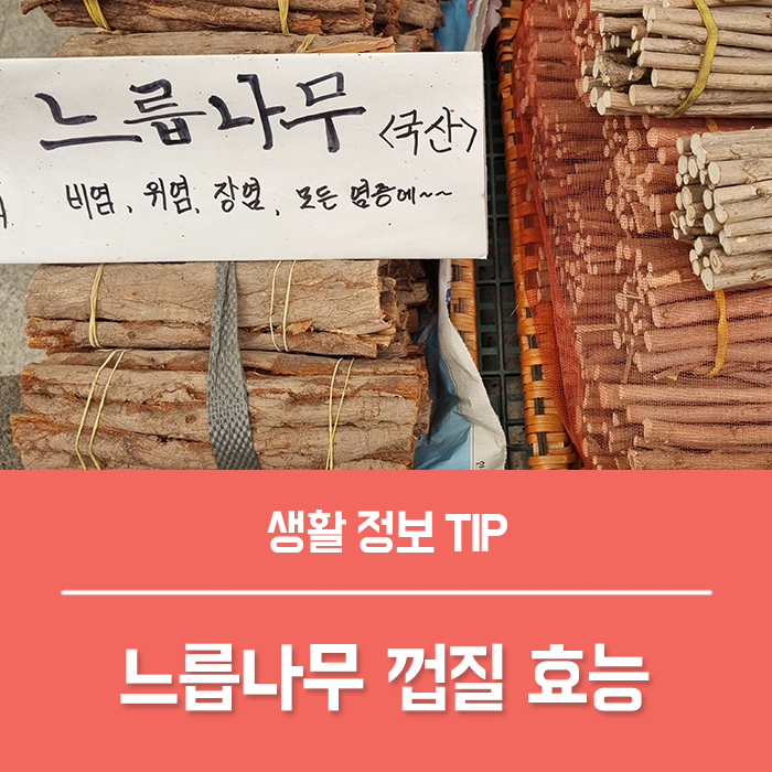 느릅나무껍질 효능 Top4 코나무 유근피 효능 부작용 네이버 블로그