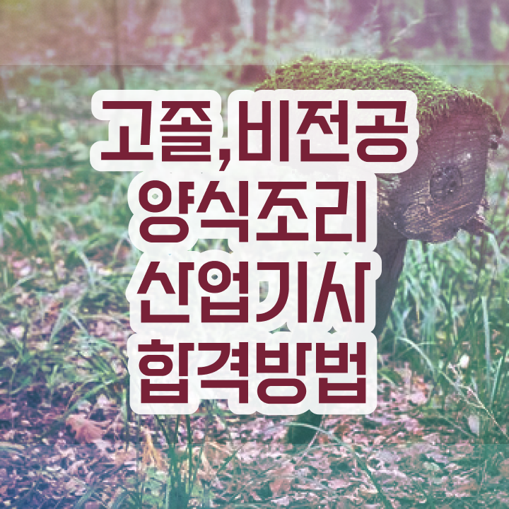 양식조리산업기사 직업 양식조리산업기사 시험자격 온라인으로 5개월 만에 완료한 비법 네이버 블로그