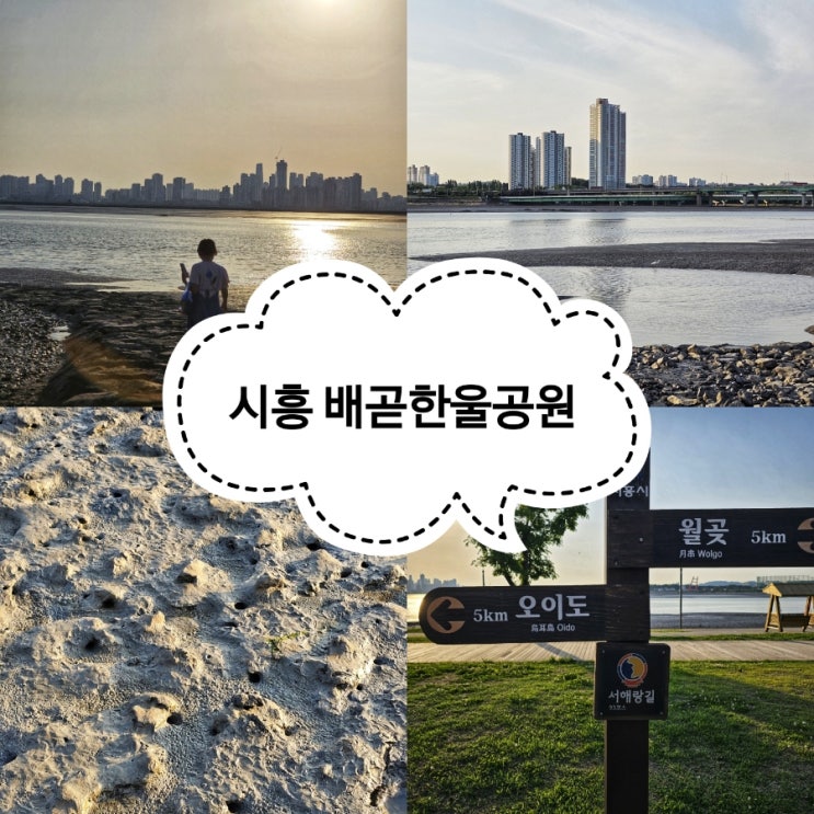 서울근교 바다 시흥 배곧 한울공원 서해 갯벌체험장 일몰 네이버 블로그