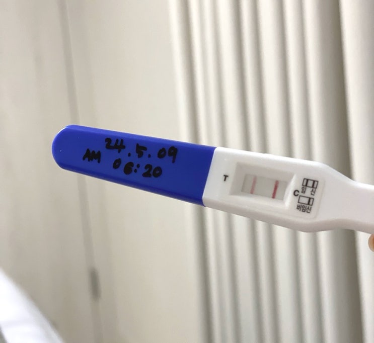 임신준비기록 8 대구마리아병원 시험관1차 임테기두줄 1차피검사 수치💛복수천자 및 증상 기록 네이버 블로그