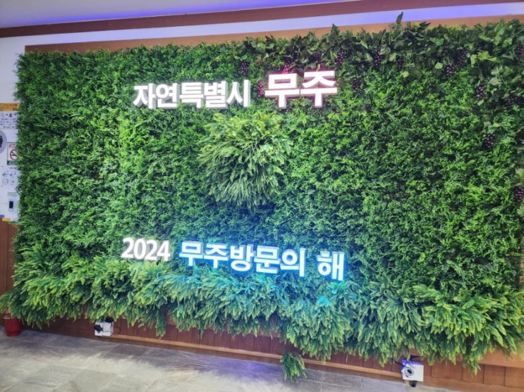 무주 반딧불이 신비탐사 네이버 블로그