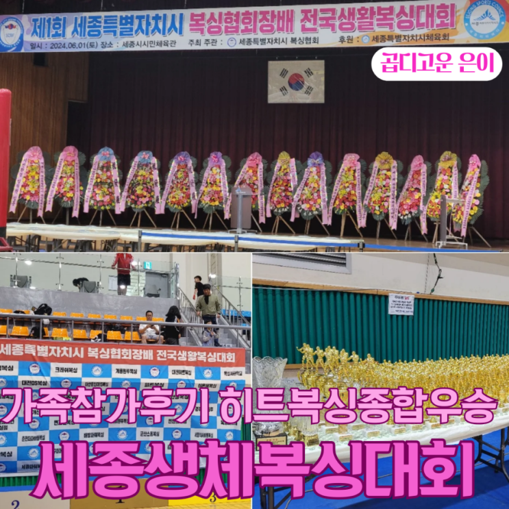 세종생활체육복싱대회 히트복싱 종합우승 가족 모두 참가 네이버 블로그