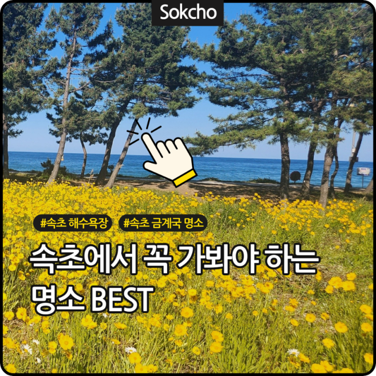속초 가볼만한곳 속초해수욕장 명소 6월 꽃구경 금계국바다 한눈에 네이버 블로그