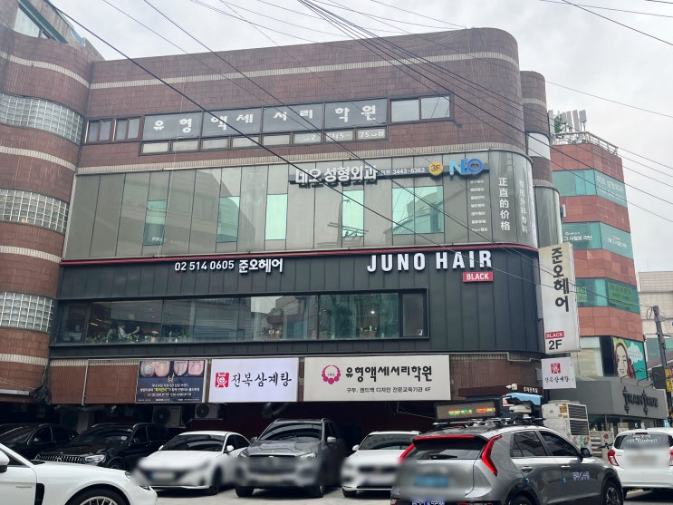 압구정역 미용실 에서 차민지디자이너님에게 레이어드펌 했어요 네이버 블로그
