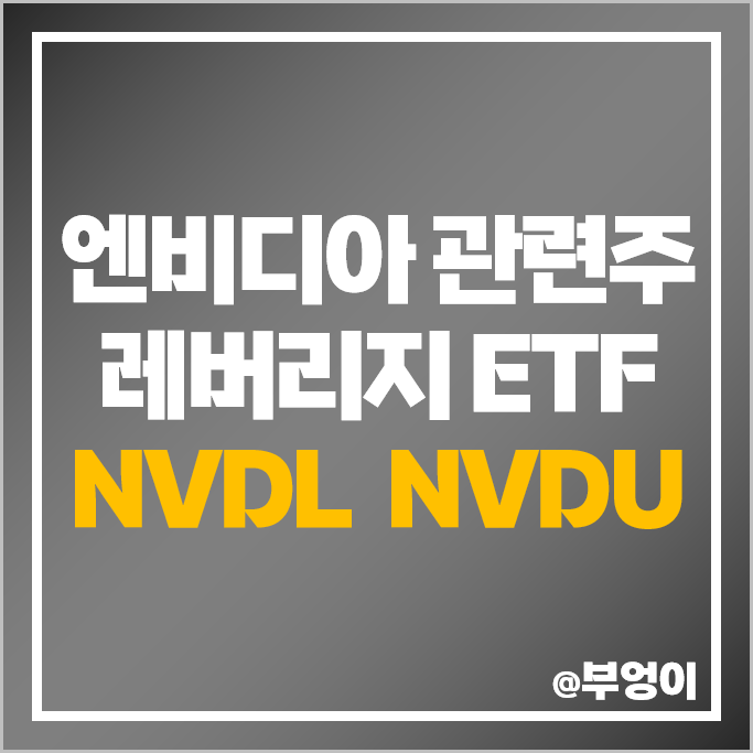 NVDA 엔비디아 주식 관련주 투자 방법 미국 레버리지 ETF NVDL NVDU 주가 : 네이버 블로그