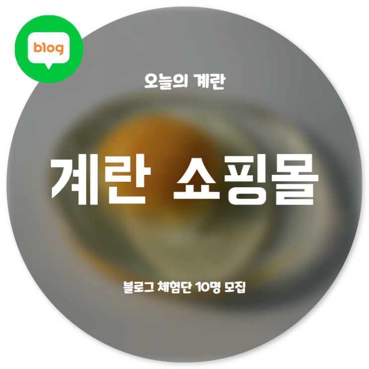 오늘의 배송 무항생제에 자연방사로 키워 신선하고 건강한 오늘의 계란 쇼핑몰 리뷰어 모집 네이버 블로그