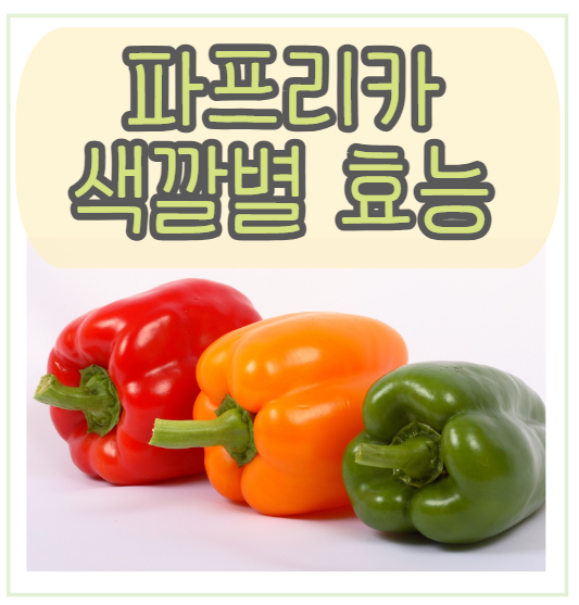 파프리카는 색마다 영양소가 다를까 파프리카 영양성분 효능 보관법 네이버 블로그