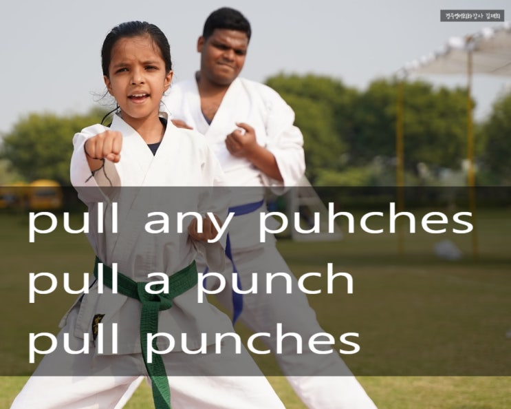 [VOA] pull no punches, not pull any punches 사정을 봐주지 않다_by 경주영어회화강사 김재희 ...